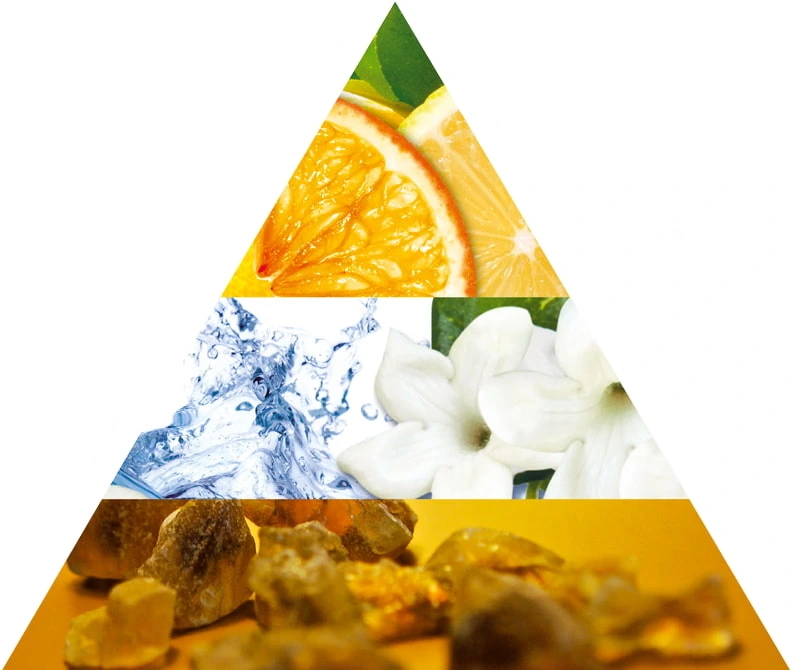 Olfactory top, heart and base notes in perfumes